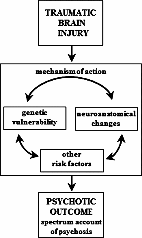 Psychosis Following Traumatic Brain Injury | Brain Impairment ...