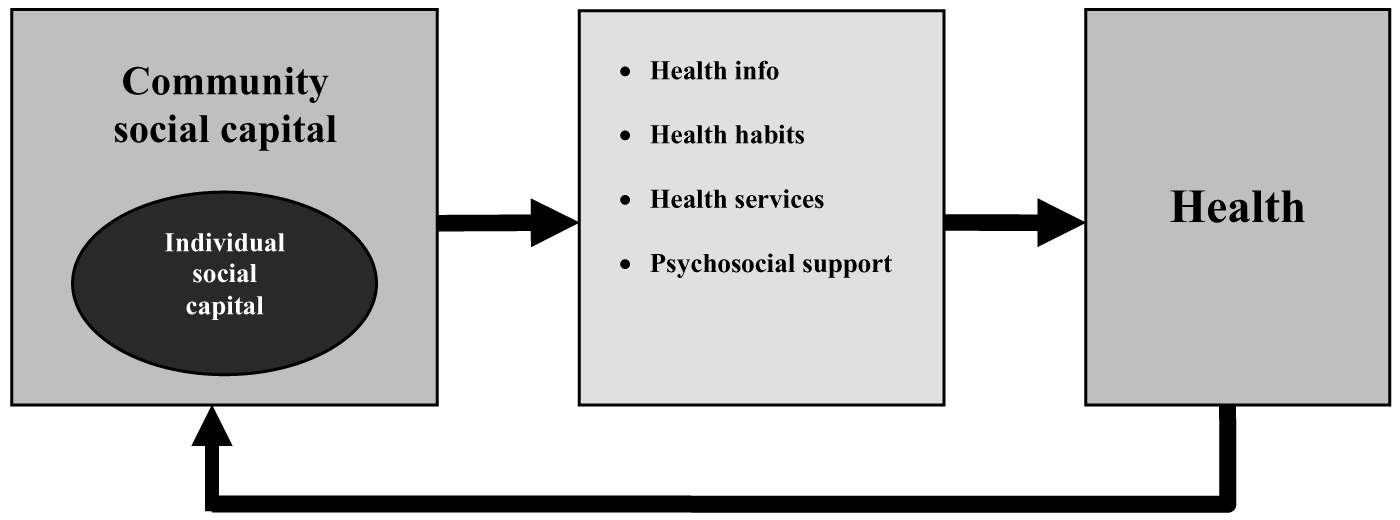 Social capital, economics, and health: new evidence | Health Economics ...