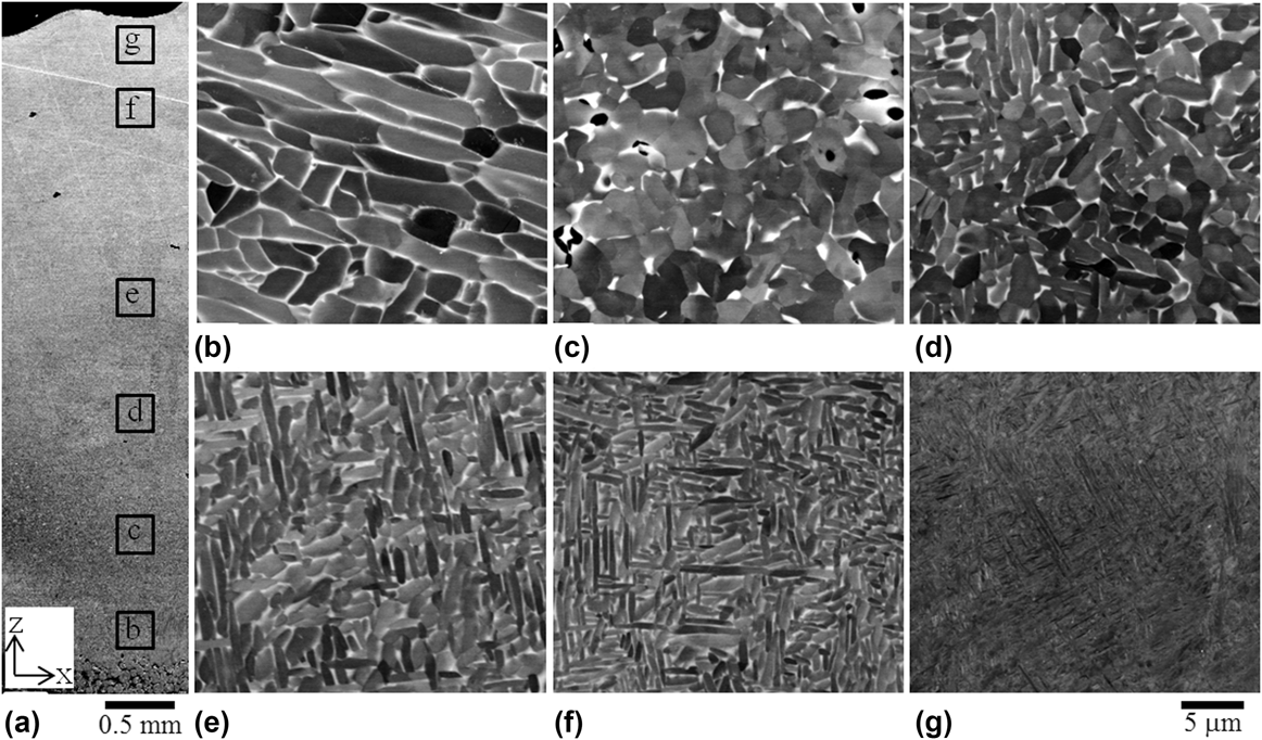 The formation of α + β microstructure in as-fabricated selective laser ...