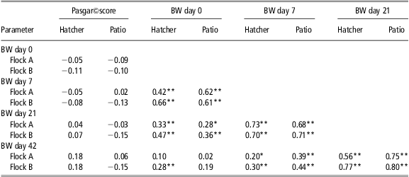 Significance of chick quality score in broiler production | animal ...