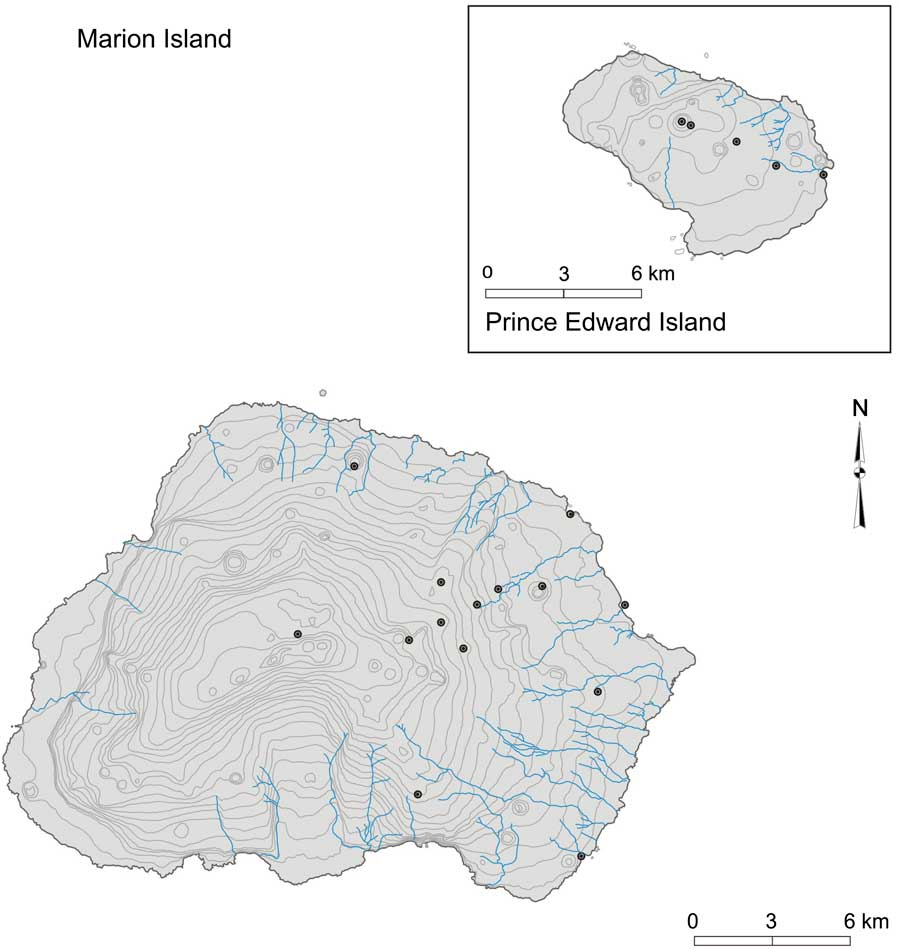 Inter-island dispersal of flightless Bothrometopus huntleyi (Coleoptera ...
