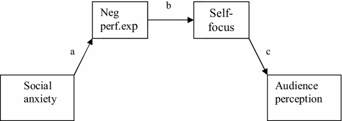 The Relation Between Social Anxiety and Audience Perception: Examining ...