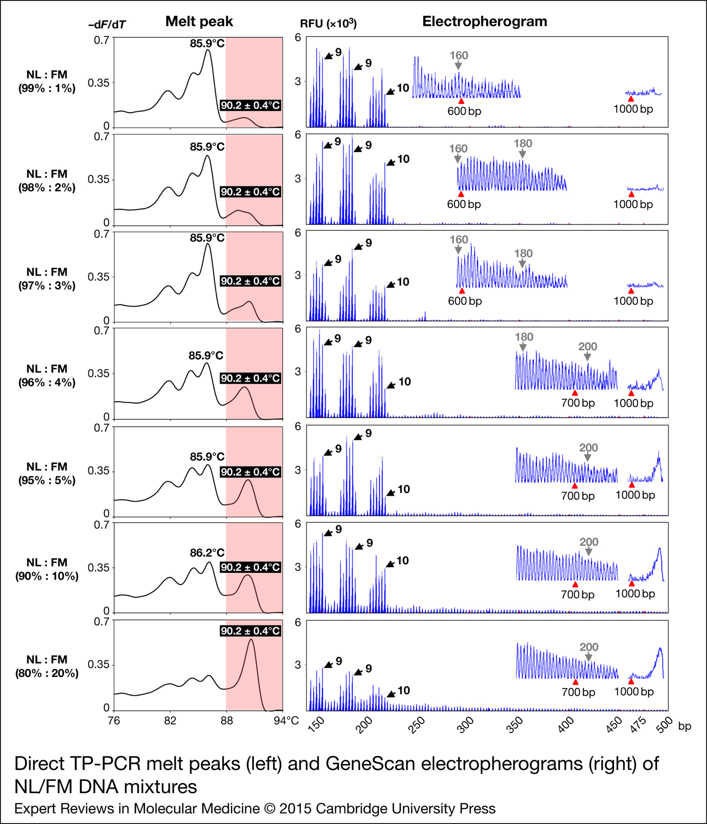 Simplified strategy for rapid first-line screening of fragile X ...