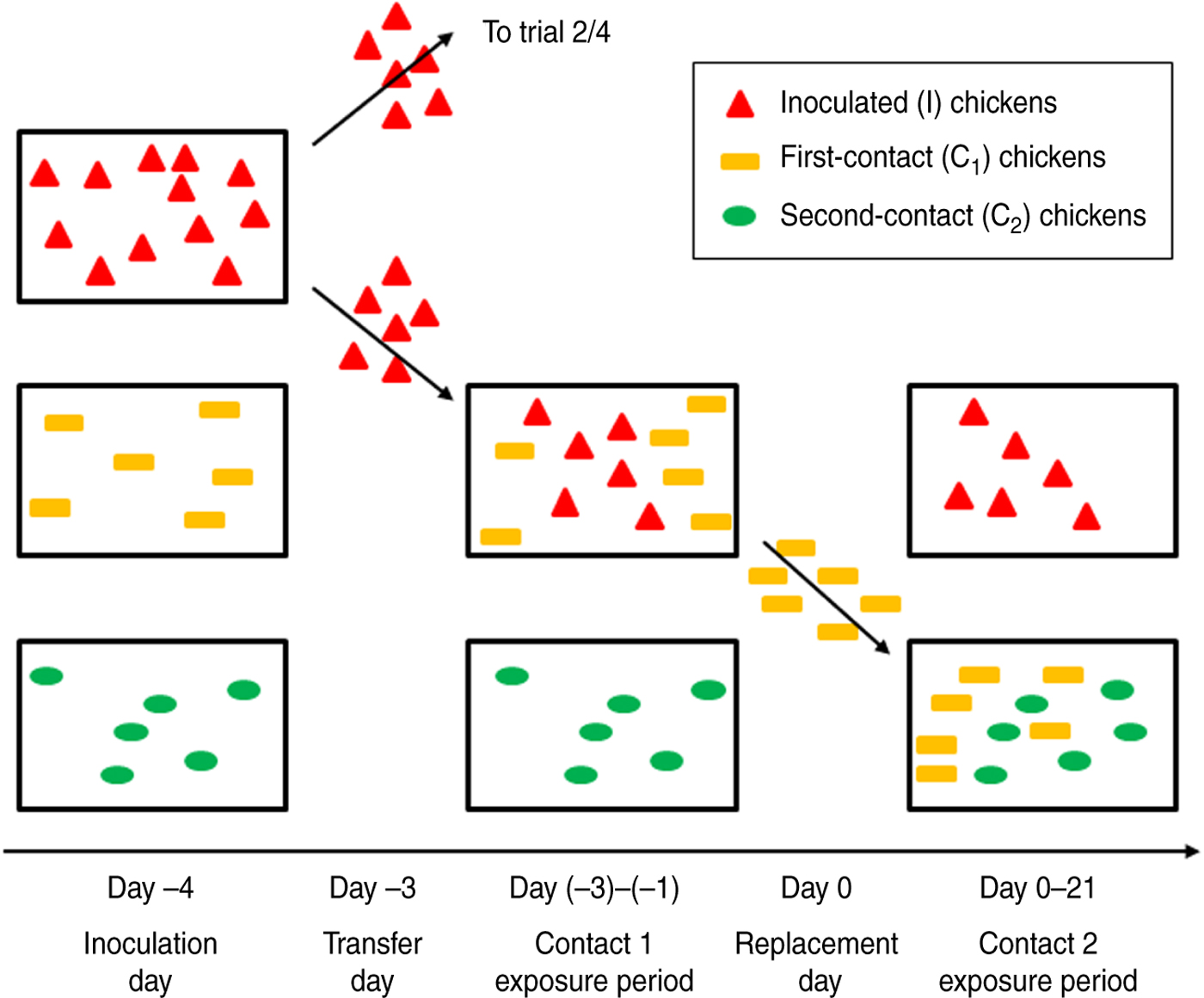 Extended transmission of two H5/H7 low pathogenic avian influenza ...