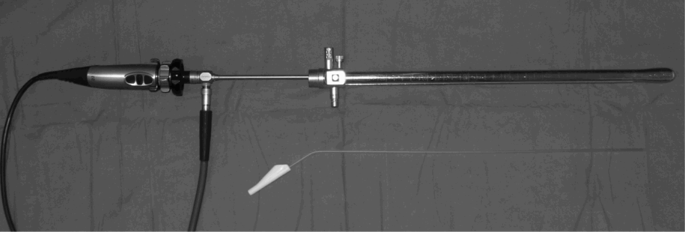 Endoscopic rigid oesophagoscopy: a simple method to teach rigid ...