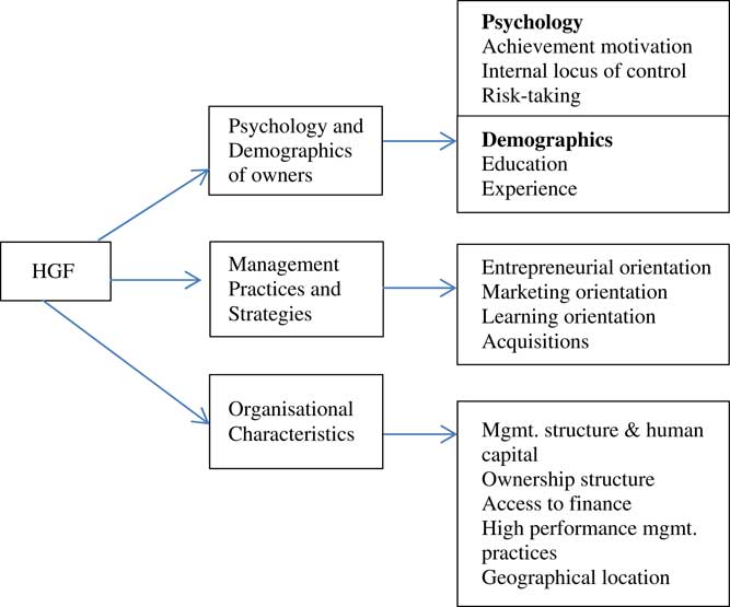 Identifying high growth firms: Where are we? | Journal of Management ...
