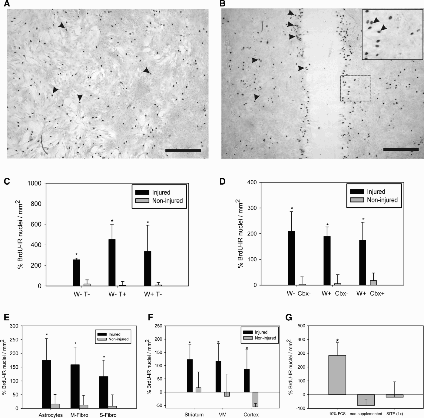 Cell contact-inhibition signaling as part of wound-healing processes in ...