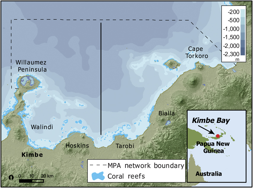 Designing a resilient network of marine protected areas for Kimbe Bay ...