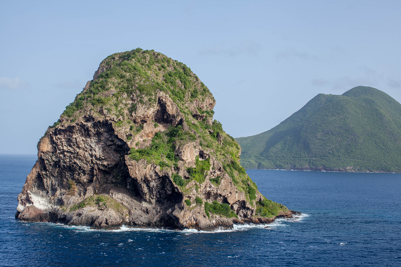 Is the Martinique ground snake Erythrolamprus cursor extinct? | Oryx ...
