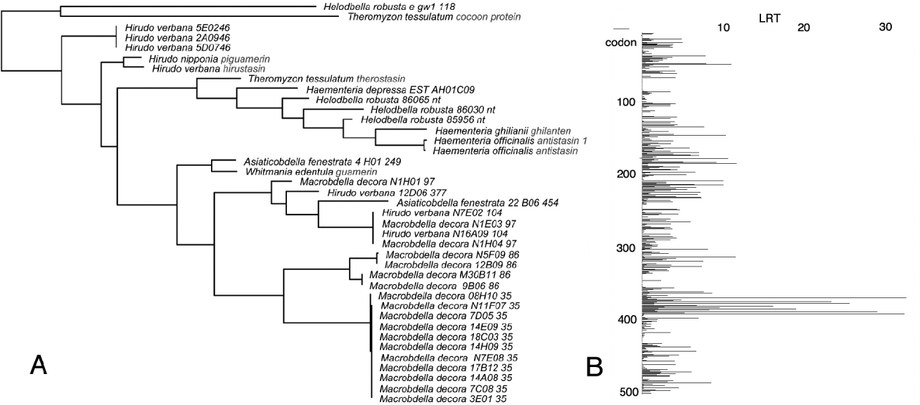 Bacterial symbiont and salivary peptide evolution in the context of ...