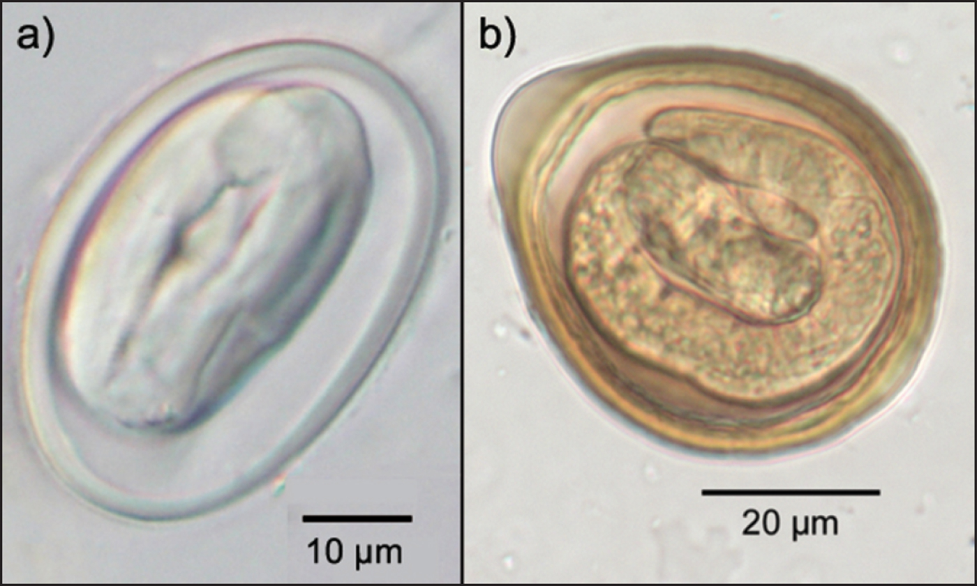 Gastrointestinal parasites in relation to host traits and group factors ...