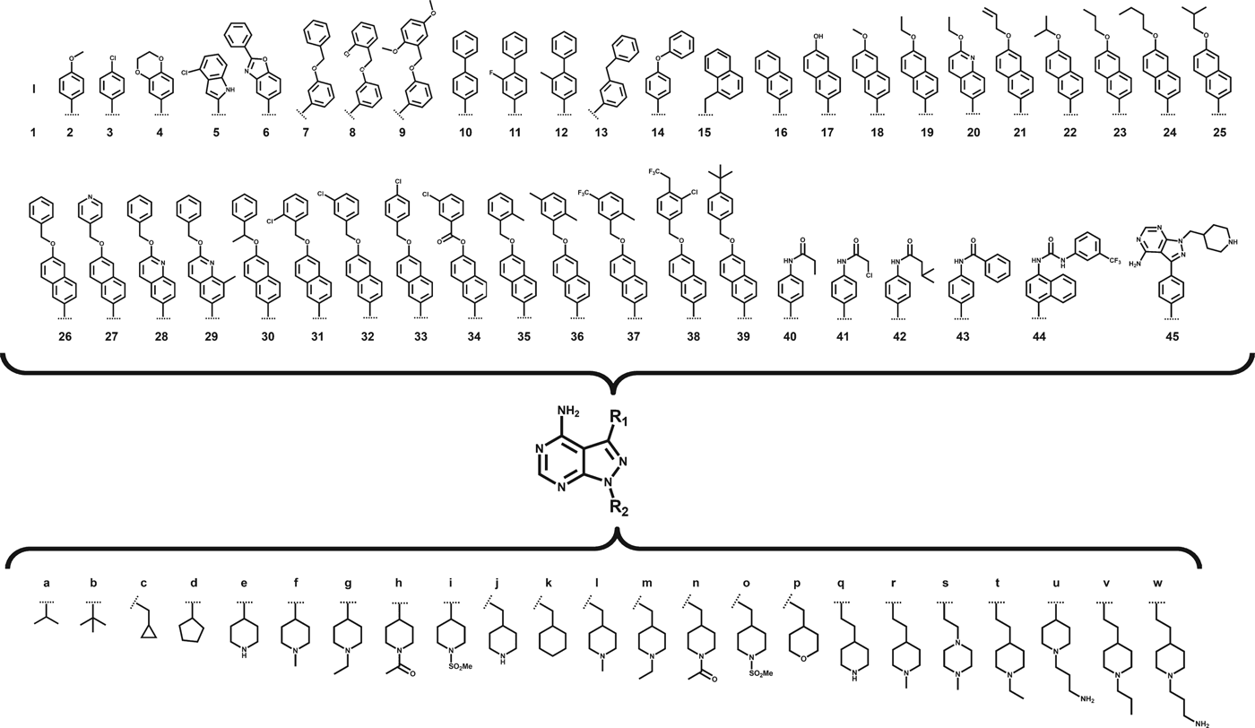 The gatekeeper residue and beyond: homologous calcium-dependent protein ...