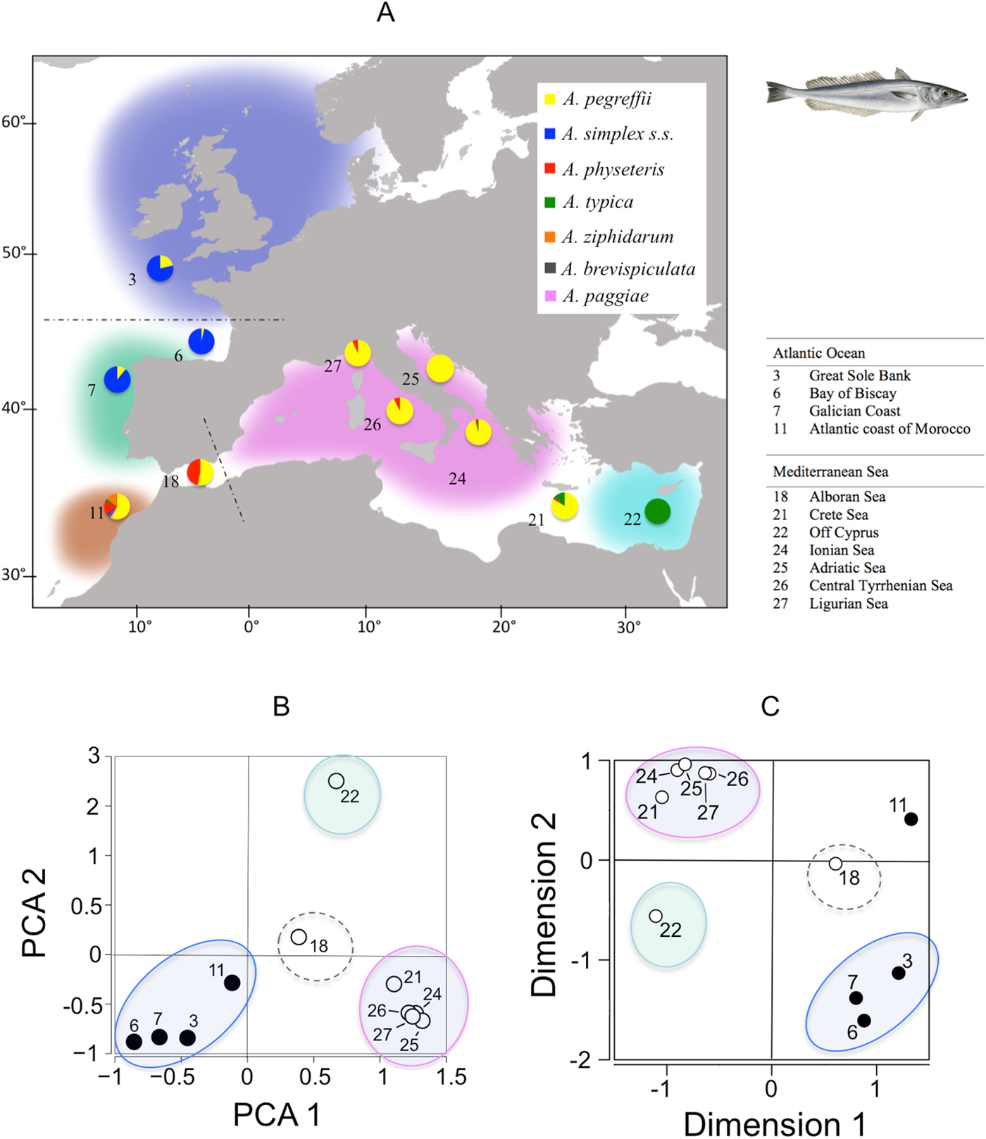 Integrating Anisakis spp. parasites data and host genetic structure in ...