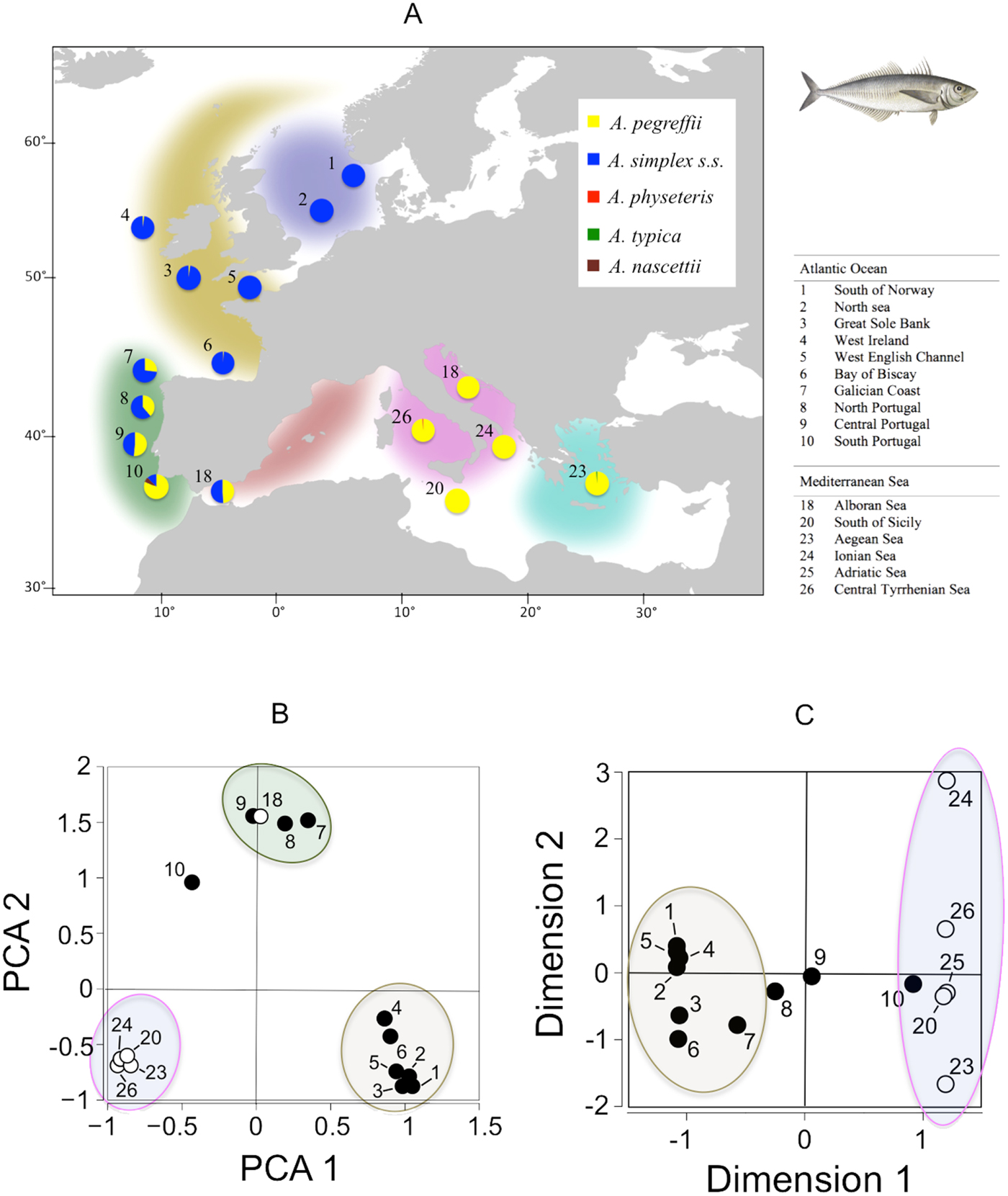 Integrating Anisakis spp. parasites data and host genetic structure in ...