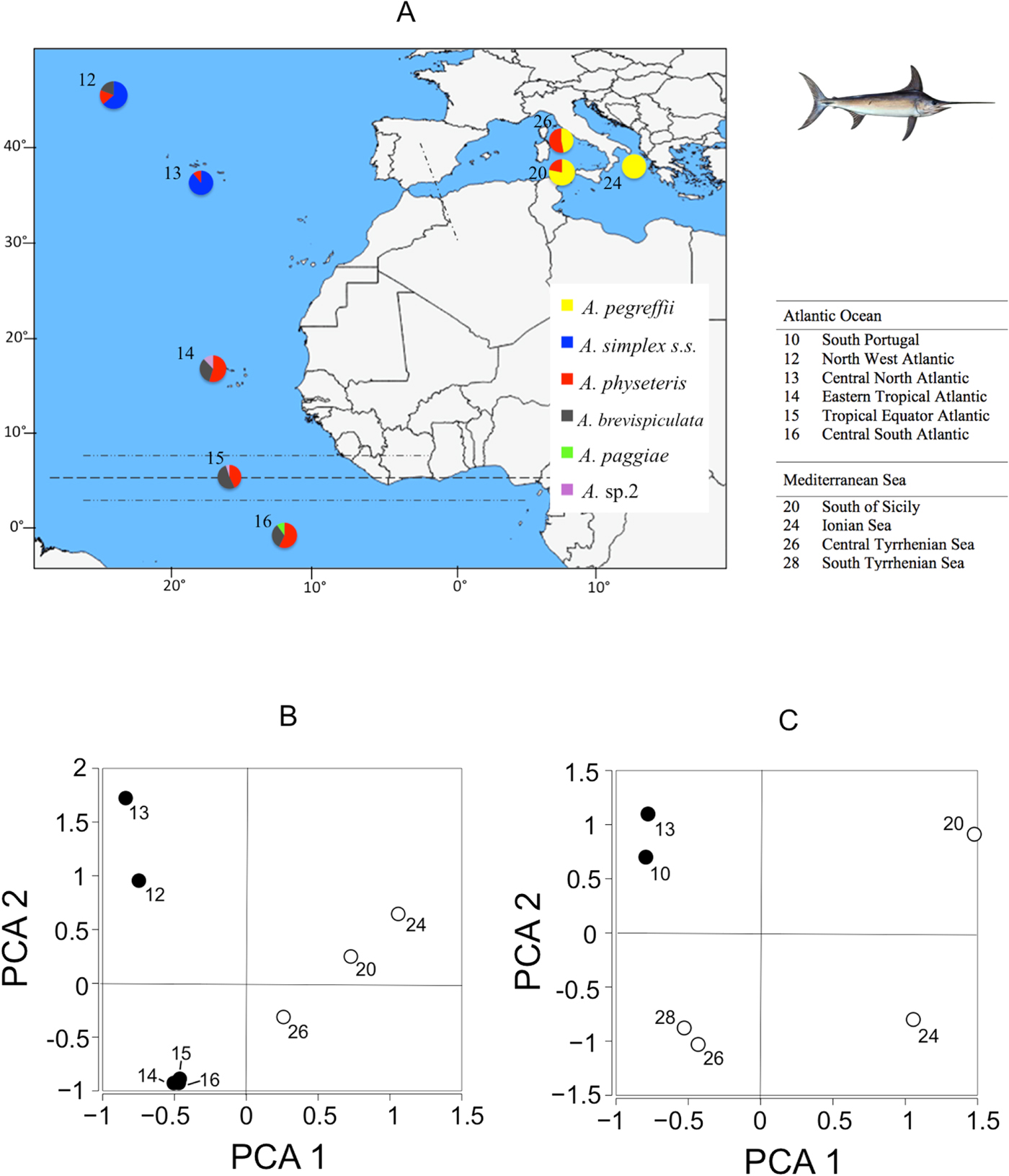 Integrating Anisakis spp. parasites data and host genetic structure in ...