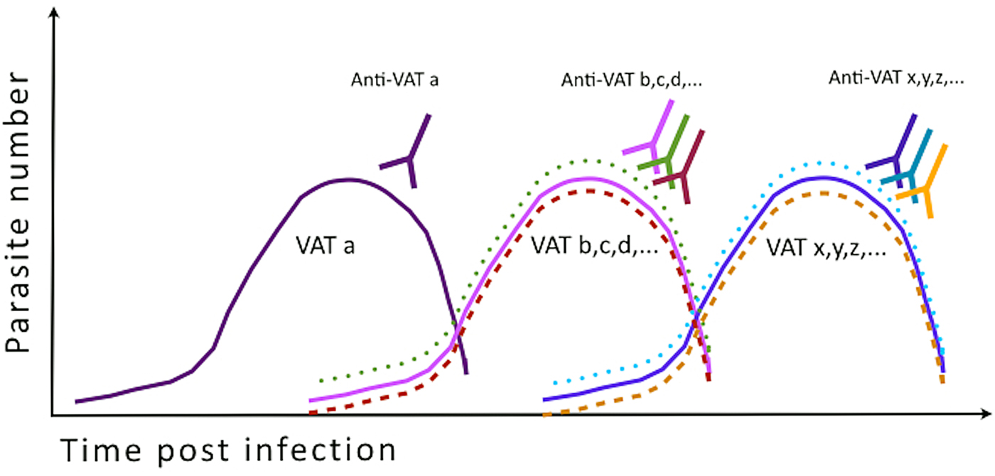 Escape mechanisms of African trypanosomes: why trypanosomosis is ...