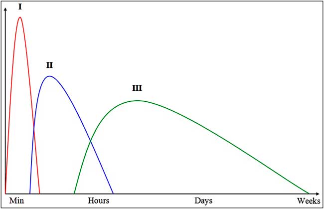 Disaster Metrics: A Proposed Quantitative Model for Benchmarking ...