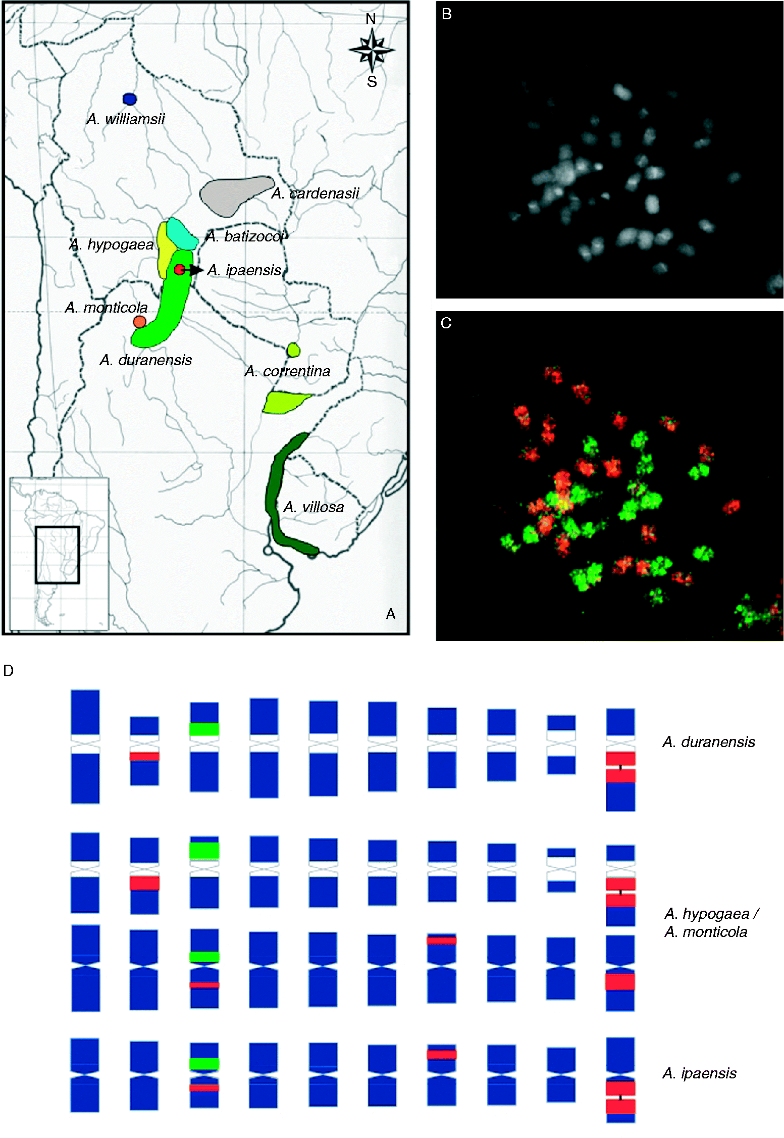 An overview of peanut and its wild relatives | Plant Genetic Resources ...