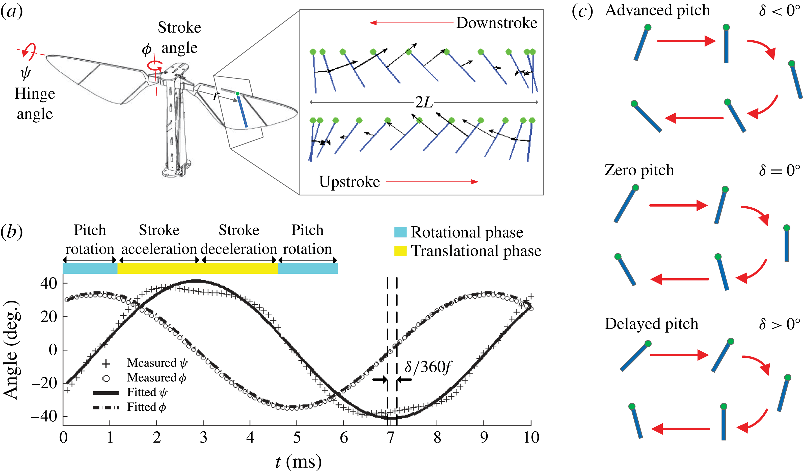 Experimental and computational studies of the aerodynamic performance of a flapping and ...
