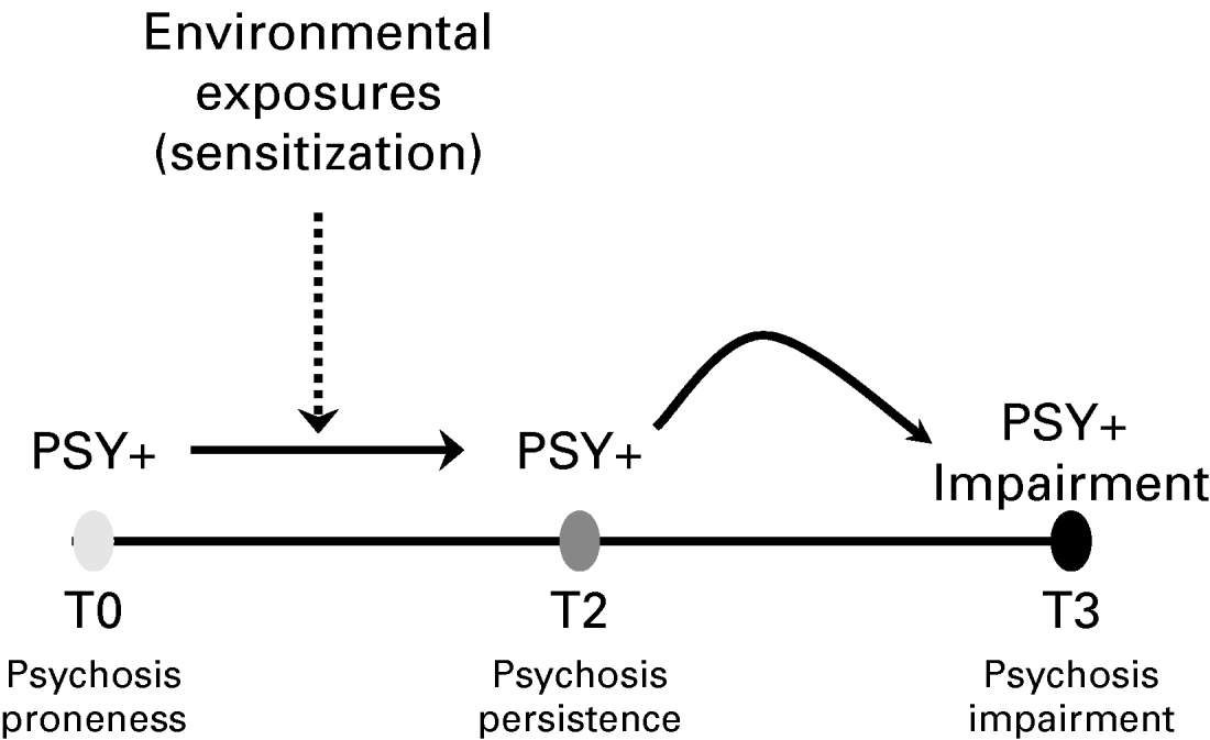 A systematic review and meta-analysis of the psychosis continuum ...