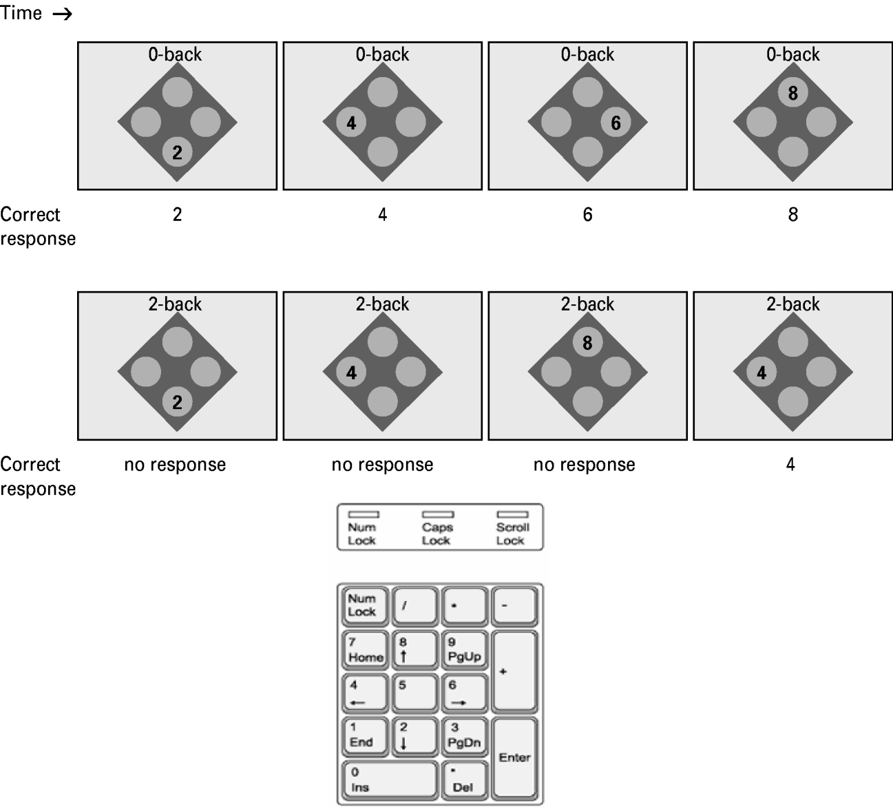 Effects of two dopamine-modulating genes (DAT1 9/10 and COMT Val/Met ...