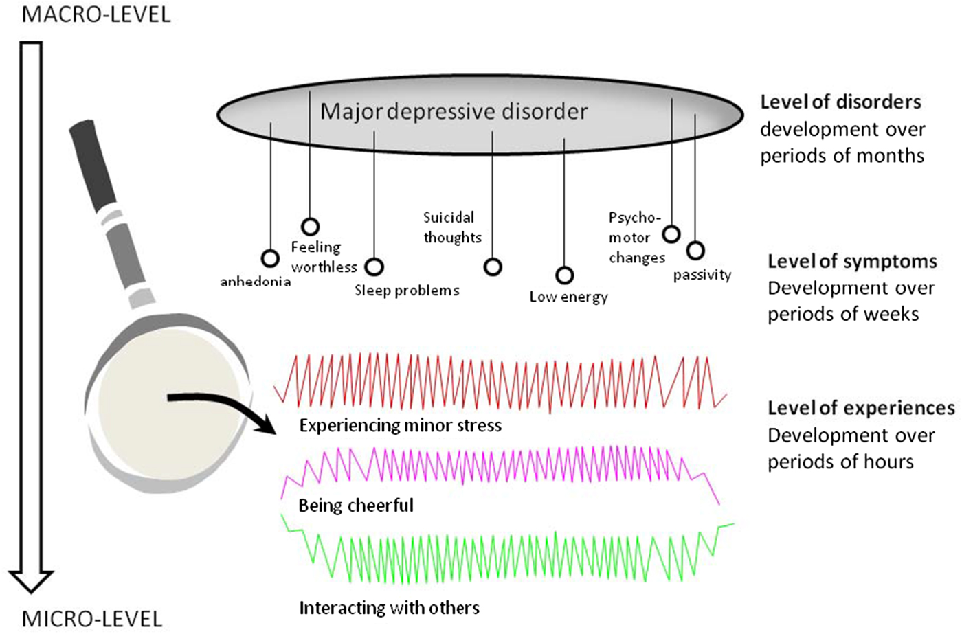 The dynamic nature of depression: a new micro-level perspective of ...