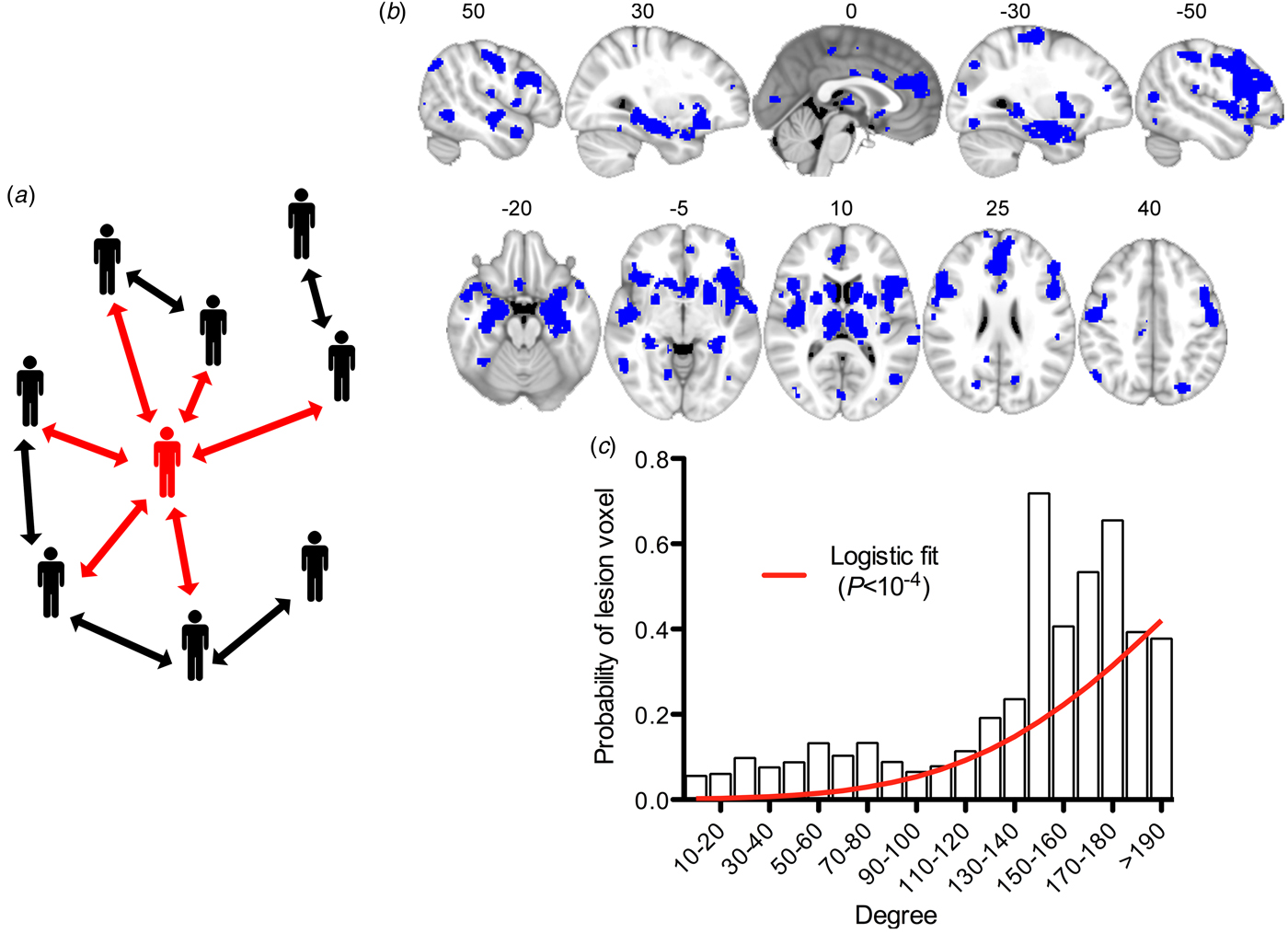 Meta-connectomics: human brain network and connectivity meta-analyses ...