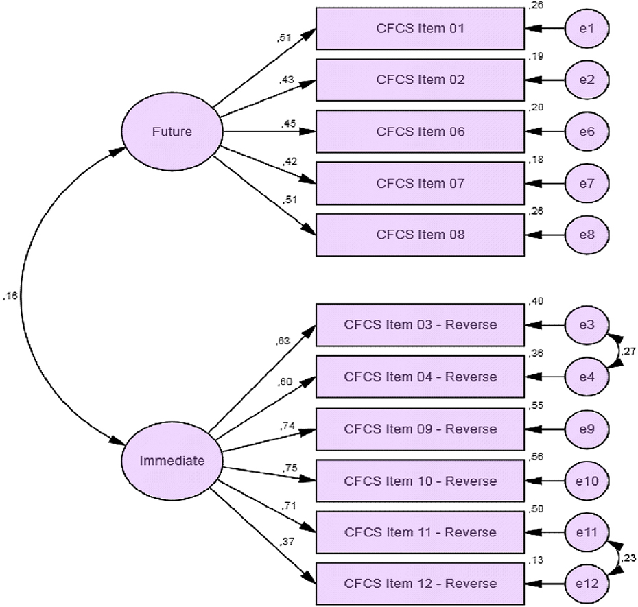 Portuguese Validation of the Consideration of Future Consequences Scale ...