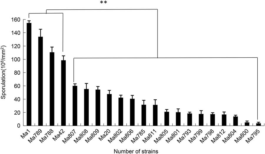 Assessment of Metarhizium anisopliae (Clavicipitaceae) and its vector ...