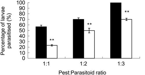 Assessment of Metarhizium anisopliae (Clavicipitaceae) and its vector ...