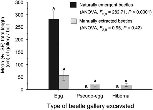 Successful reproduction by the eastern larch beetle (Coleoptera ...