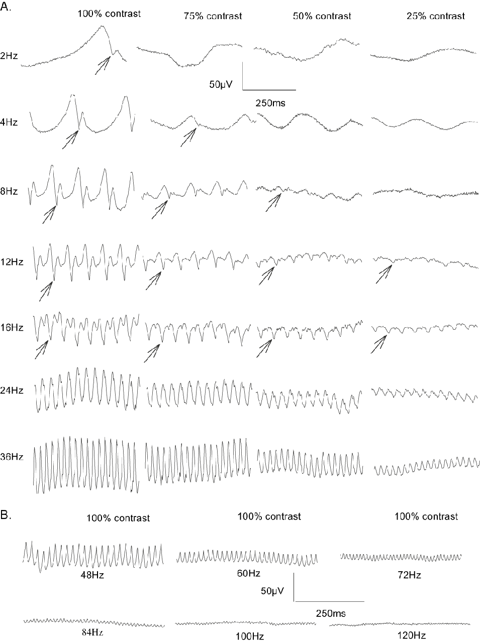 A new interpretation of components in the ERG signals to sine wave ...
