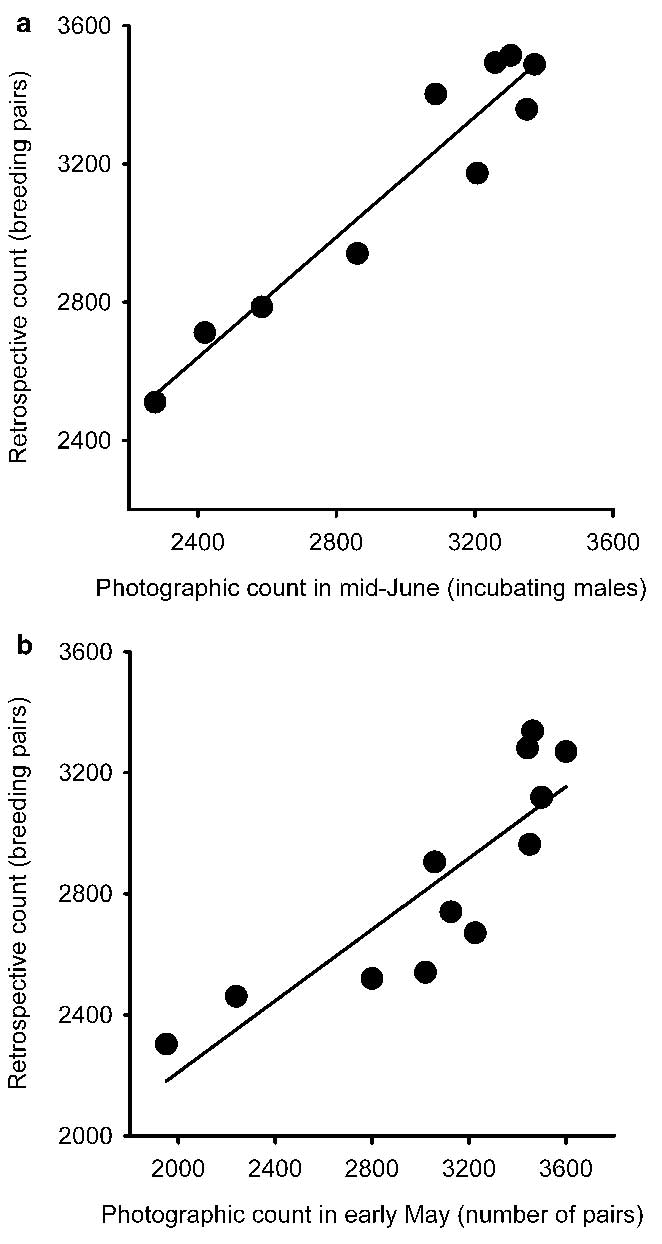 Comparison of emperor penguin declines between Pointe Géologie and ...
