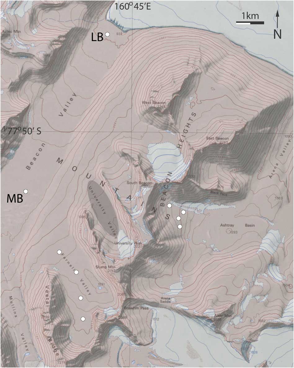 Polygonal ground in the McMurdo Dry Valleys of Antarctica and its ...