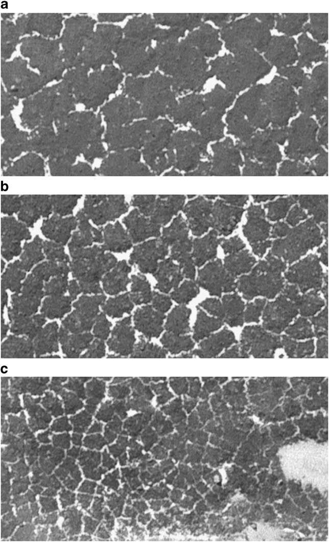 Polygonal ground in the McMurdo Dry Valleys of Antarctica and its ...
