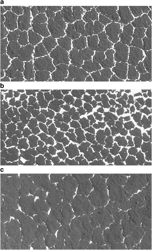 Polygonal ground in the McMurdo Dry Valleys of Antarctica and its ...