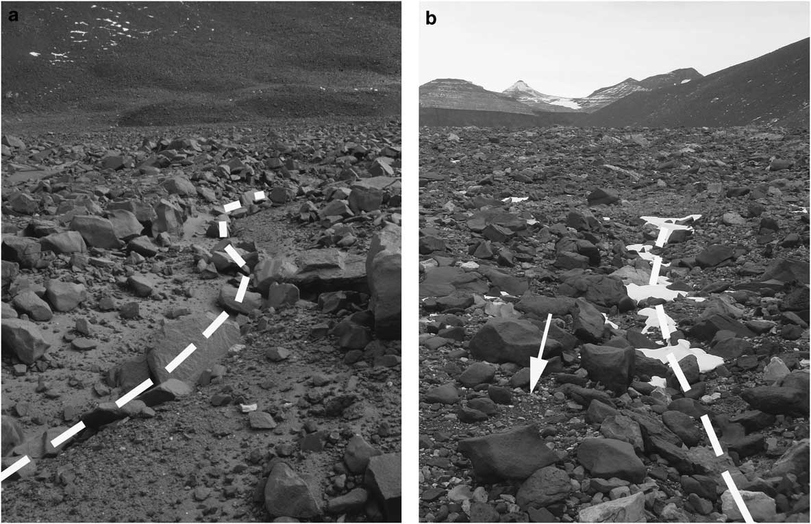 Polygonal ground in the McMurdo Dry Valleys of Antarctica and its ...