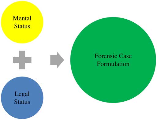 Forensic focused treatment planning: a new standard for forensic mental ...
