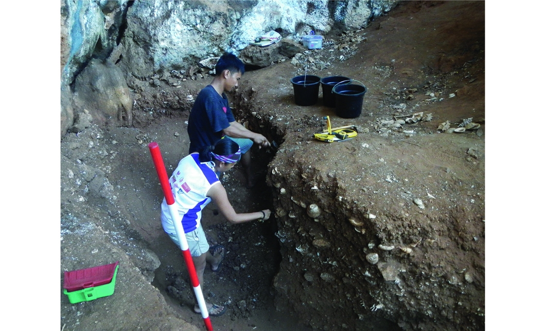 Shell tool technology in Island Southeast Asia: an early Middle ...