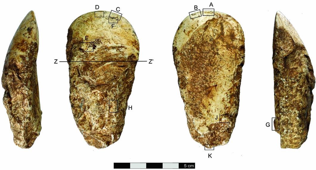 Shell tool technology in Island Southeast Asia: an early Middle ...