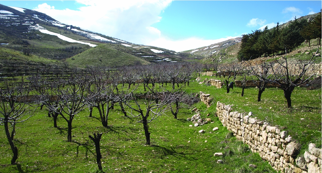 The archaeology of conflict-damaged sites: Hosn Niha in the Biqaʾ ...