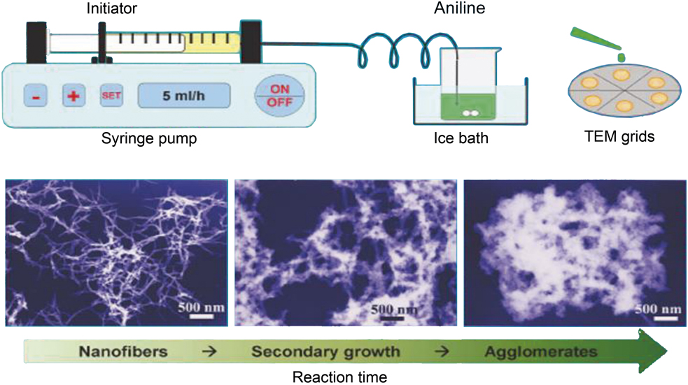 Synthesis and applications of conducting polymer nanofibers | MRS ...