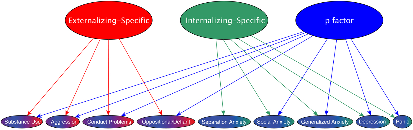 Understanding comorbidity among internalizing problems: Integrating ...