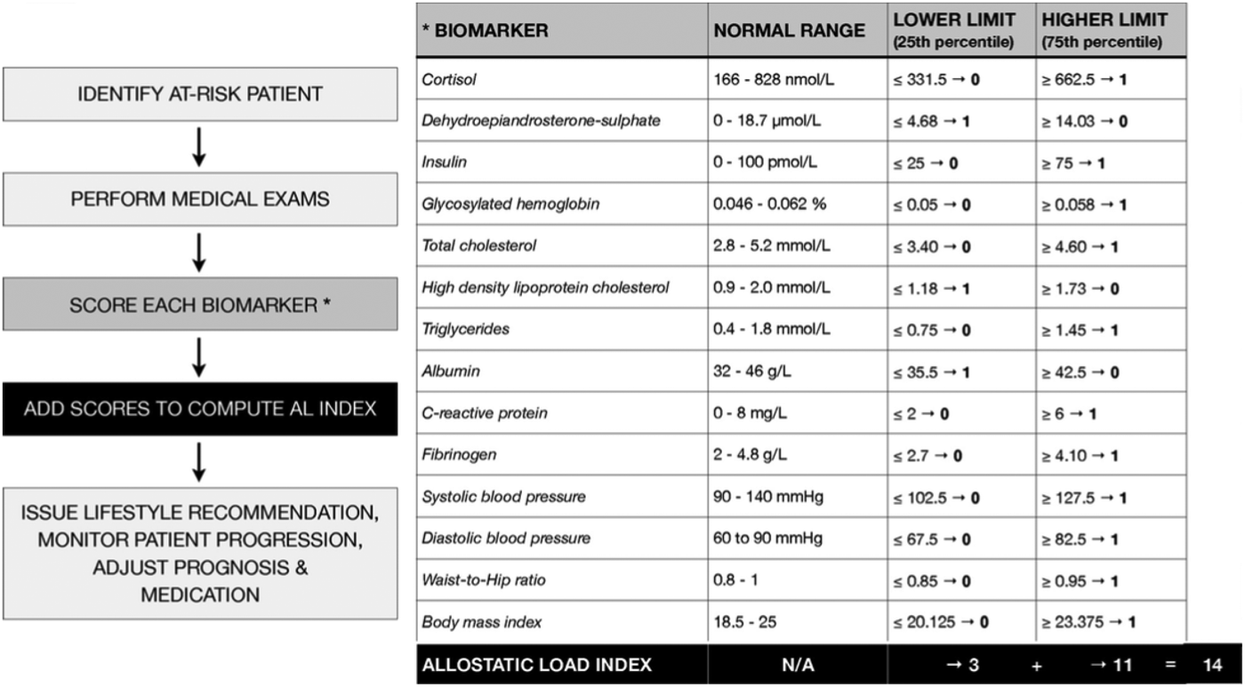 Allostatic load and comorbidities: A mitochondrial, epigenetic, and ...
