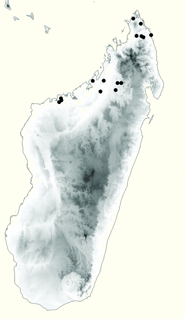 A REINSTATEMENT, RECIRCUMSCRIPTION AND REVISION OF THE GENUS DONELLA ...