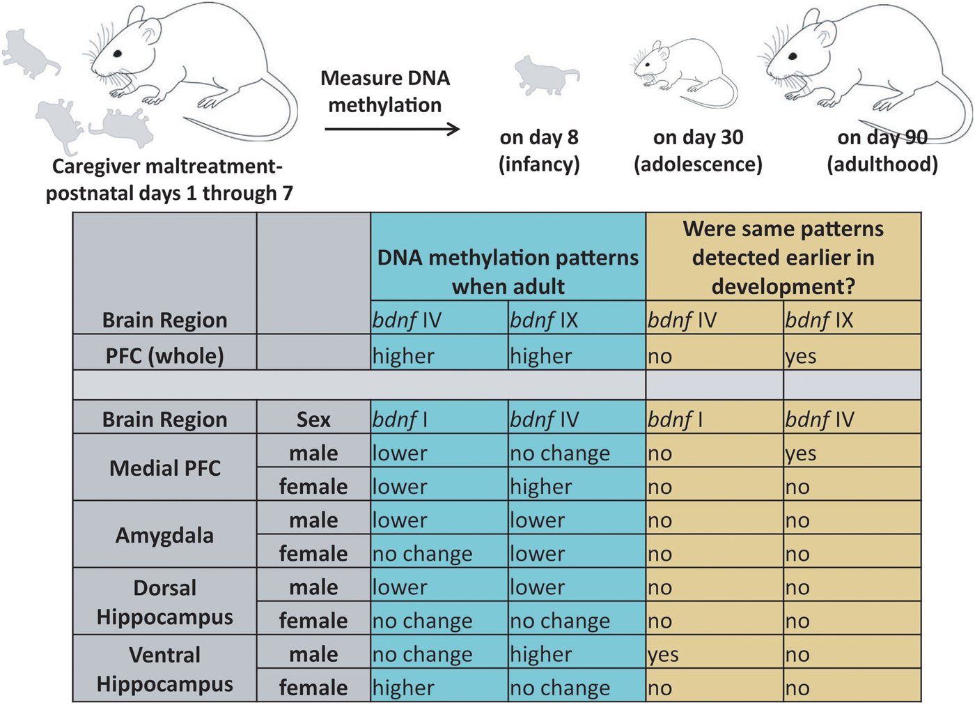 Insight from animal models of environmentally driven epigenetic changes ...