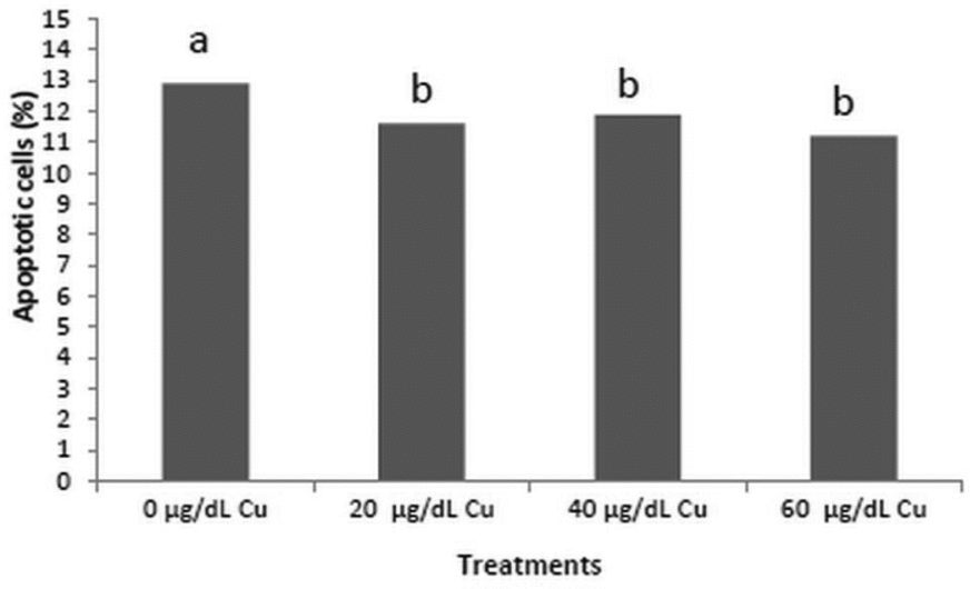 Analyses of apoptosis and DNA damage in bovine cumulus cells after in ...