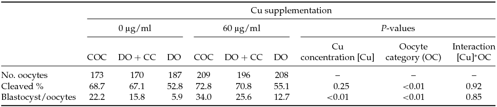 Analyses of apoptosis and DNA damage in bovine cumulus cells after in ...