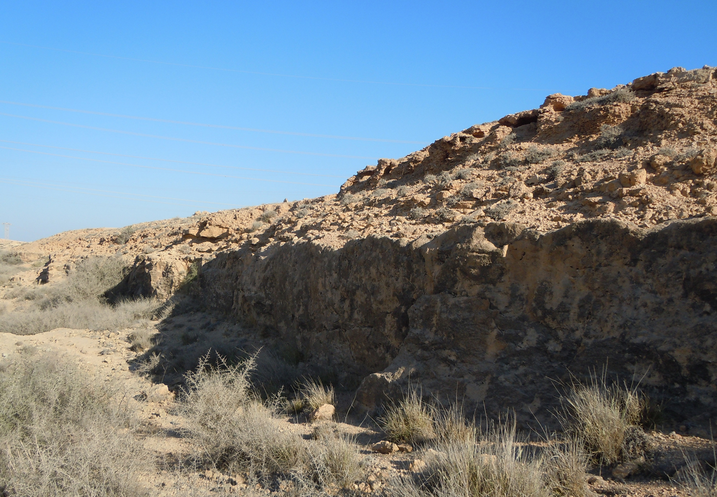 The Lepcitanian landscape across the ages: the survey between Ras el ...