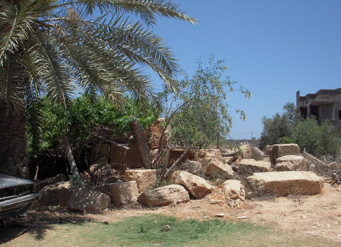 The Lepcitanian landscape across the ages: the survey between Ras el ...